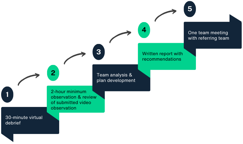 Project STAY: Student Observation and Problem-Solving - Greenbush